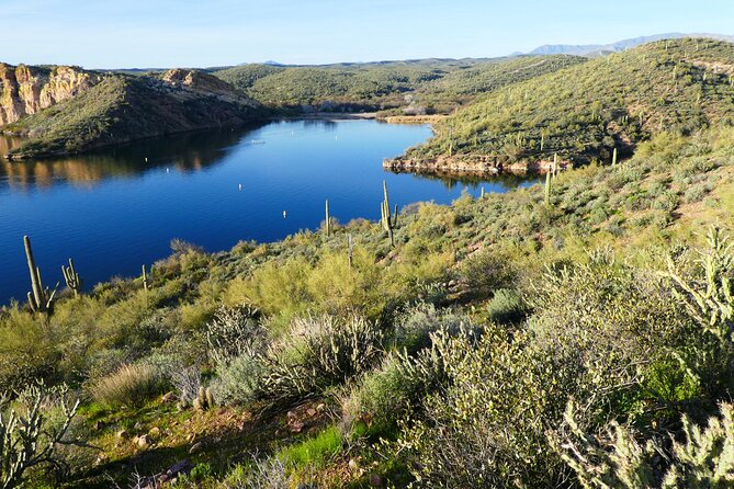 Guided Hike: Saguaro Lake View - Key Points