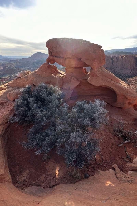 Guided hike to Meeks Mesa of Capitol Reef - The Experience & Value