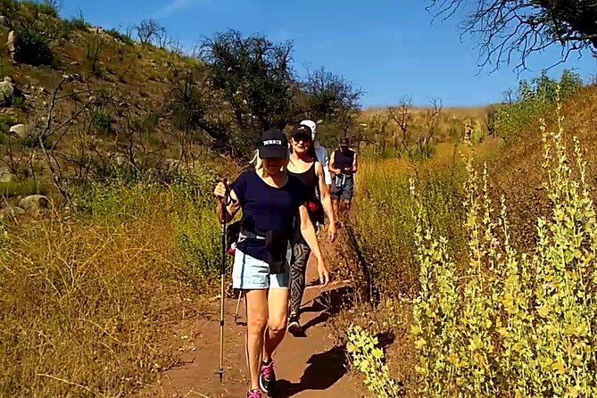 Guided Hiking Experience in Ojai - Key Points