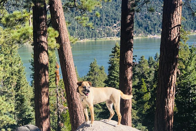 Guided Hiking Tour in Big Bear with Sunset Champagne toast on Private Dock - What Travelers Are Saying