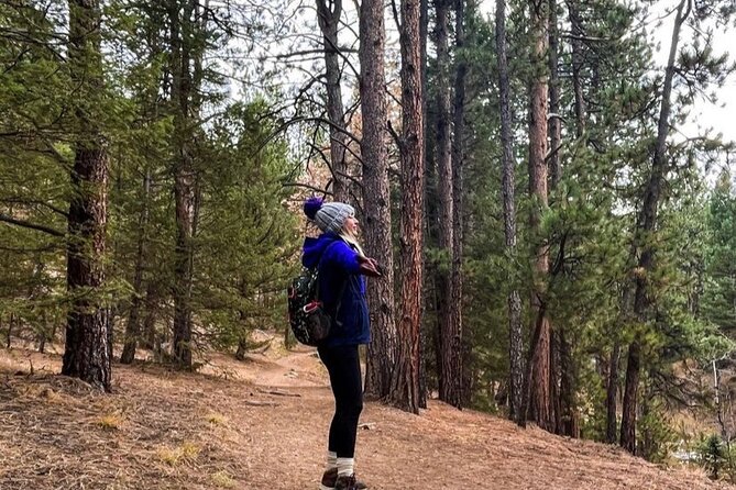Guided Hiking Tour in Colorado Rocky Mountains View of Mt BlueSky - Authenticity and Local Insight