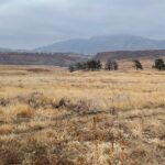 Guided Hiking Tours near Fort Collins - Practical Details and Whats Included