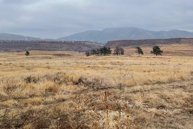 Guided Hiking Tours near Fort Collins - Practical Details and Whats Included
