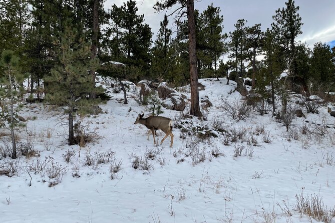 Guided Hiking Tours near Fort Collins - Who Is This Tour Best For?