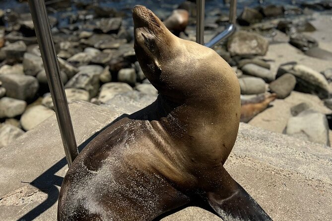 Guided Historic La Jolla Village Walking Tour - Why We Think This Tour Offers Great Value