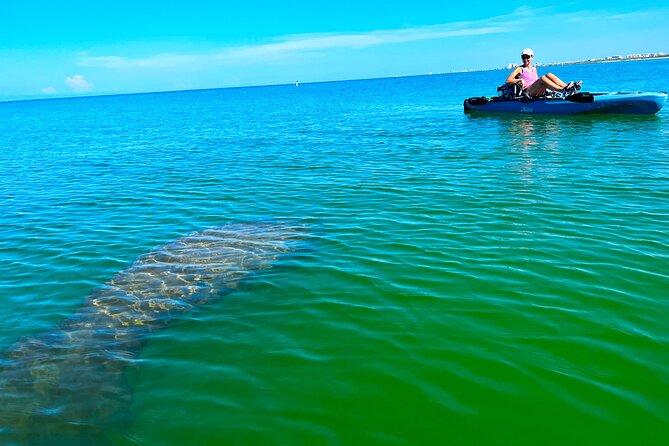 Guided Hobie Kayak EcoTour: Premium Eco Experience Bonita Springs - Exploring the Beauty of Bonita Springs with a Guided Hobie Kayak EcoTour