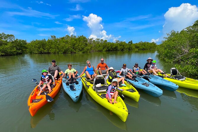 Guided Hobie Kayak EcoTour: Premium Eco Experience Bonita Springs - A Closer Look at the Experience
