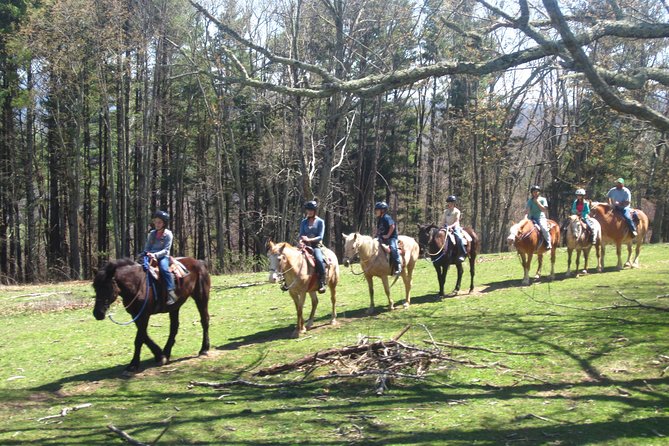 Guided Horseback Ride through Flame Azalea and Fern Forest - Exploring the Details of the Horseback Adventure