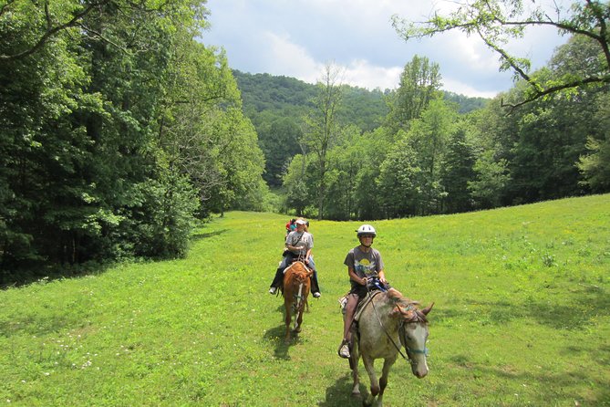 Guided Horseback Ride through Flame Azalea and Fern Forest - What to Expect on Your Trail