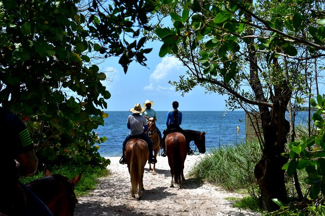 Guided Horseback Riding on The Pristine Waters of Miami Florida - Final Words
