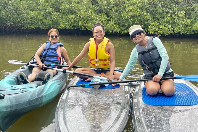Guided Island EcoTour: CLEAR/Standard Kayak, SUP - Bonita Springs - Why This Tour Is a Great Choice for You