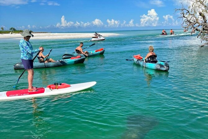 Guided Island EcoTour: CLEAR/Standard Kayak, SUP - Bonita Springs - The Sum Up