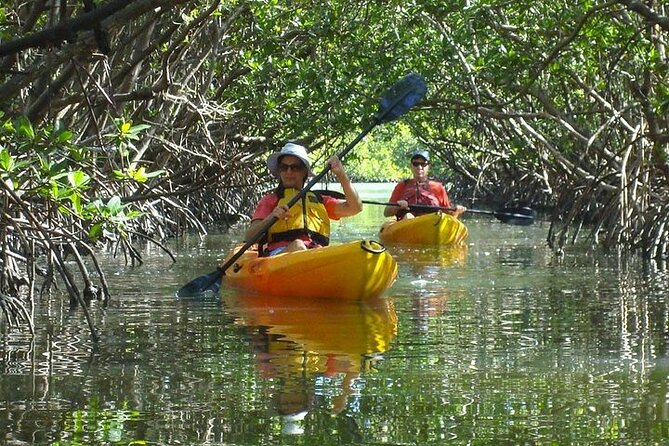 Guided Kayak Dolphin Eco Tour in Pelican Bay - Who Will Love This Tour?