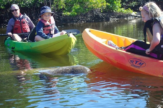 Guided Kayak Dolphin Eco Tour in Pelican Bay - Final Thoughts