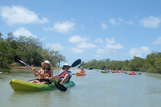 Guided Kayak Eco Tour - Bunche Beach - Introduction