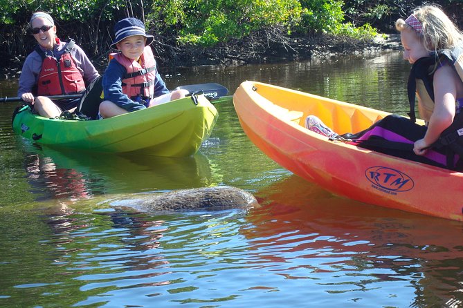 Guided Kayak Eco Tour - Bunche Beach - Why This Tour Works