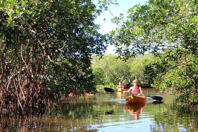 Guided Kayak Eco Tour - Bunche Beach - Who Should Consider This Tour?