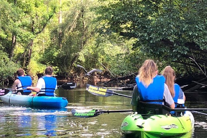 Guided Kayak Eco Tour: Real Florida Adventure - An Overview of the Experience