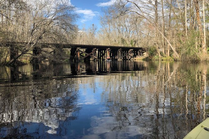 Guided Kayak Eco Tour: Real Florida Adventure - The Value of the Tour