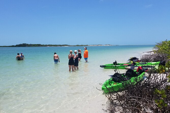 Guided Kayak EcoTour of Beautiful Shell Key Preserve - A Detailed Look at the Shell Key EcoTour