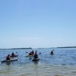 Guided Kayak EcoTour of Beautiful Shell Key Preserve - Who Will Love This Tour?