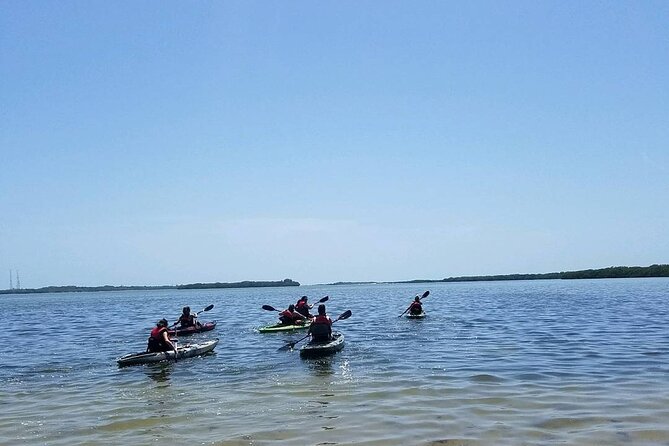 Guided Kayak EcoTour of Beautiful Shell Key Preserve - Who Will Love This Tour?