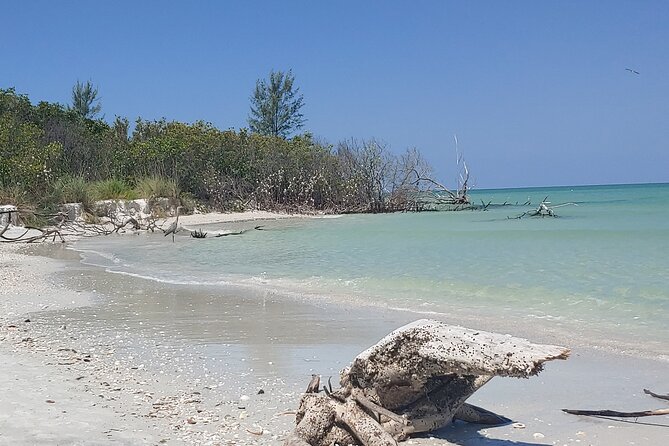 Guided Kayak EcoTour of Beautiful Shell Key Preserve - FAQs