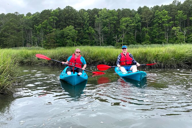 Guided Kayak Excursion Rehoboth Back Bay - What the Experience Includes and What to Expect