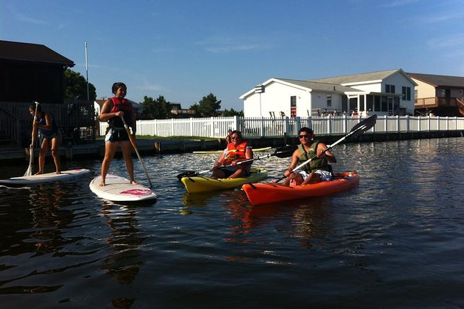 Guided Kayak Excursion Rehoboth Back Bay - Authentic Perspectives from Reviewers