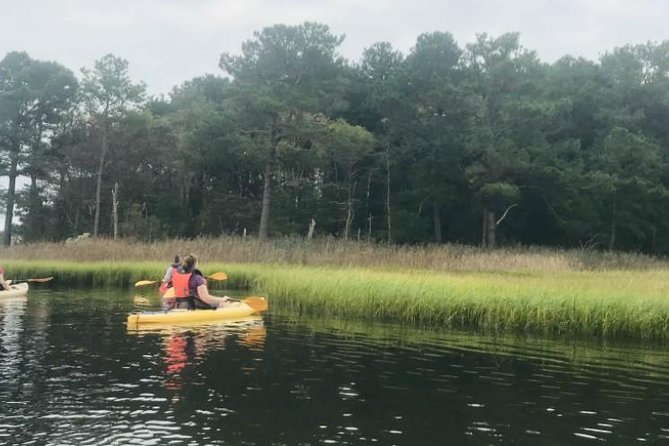 Guided Kayak Excursion Rehoboth Back Bay - Who Should Book This Tour?