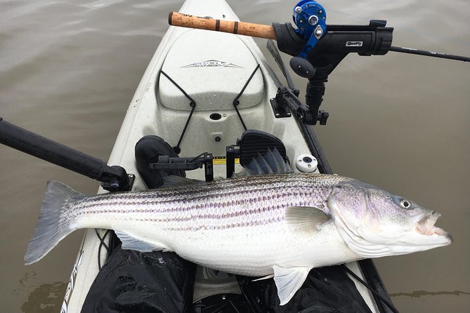 Guided Kayak Fishing Tour - Key Points