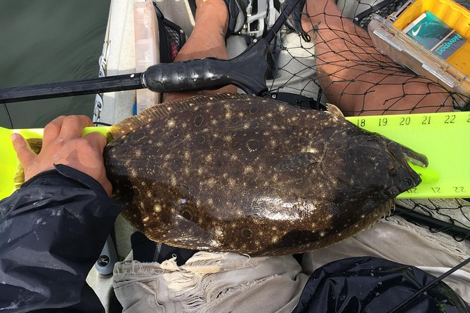 Guided Kayak Fishing Tour - Setting the Scene: What to Expect from the Tour
