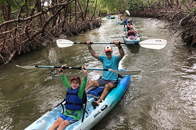 Guided Kayak Mangrove Ecotour in Rookery Bay Reserve, Naples - The Experience in Detail