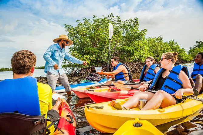 Guided Kayak Mangrove Ecotour in Rookery Bay Reserve, Naples - Who Will Love This Tour?