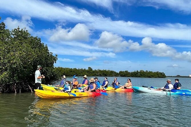 Guided Kayak Mangrove Ecotour in Rookery Bay Reserve, Naples - FAQ