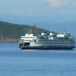 Guided Kayak Tour on San Juan Island - The Sum Up