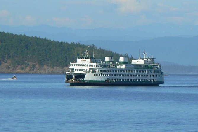 Guided Kayak Tour on San Juan Island - The Sum Up