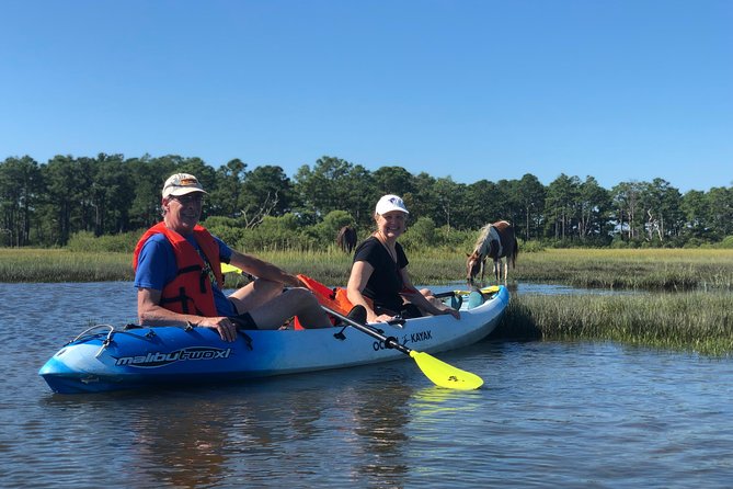 Guided Kayak Tour to see ponies, birds, dolphins and more - Practical Considerations