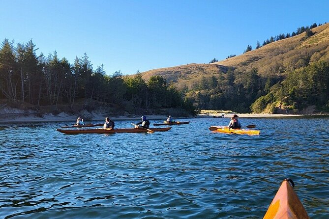 Guided Kayak Tours on the Salmon River Estuary in Otis, Oregon - Who Will Love This Experience?