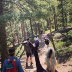 Guided Llama Hike in the Rocky Mountains - An In-Depth Look at the Rocky Mountain Llama Hike