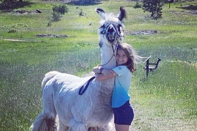 Guided Llama Hike in the Rocky Mountains - Final Thoughts
