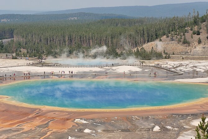 Guided Lower Loop of Yellowstone from Cody, WY - What Makes This Tour Stand Out?