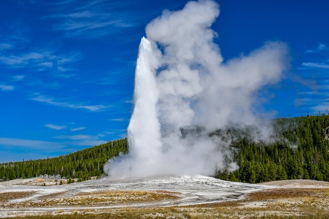 Guided Lower Loop of Yellowstone from Cody, WY - Who Is This Tour Best For?