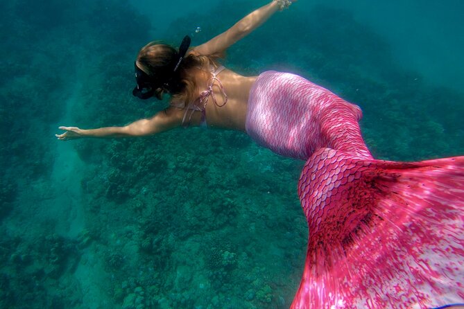 Guided Mermaid Snorkel Experience, Free Videos in West Palm Beach - Final Thoughts