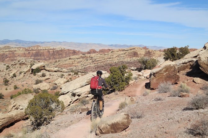 Guided Mountain Bike Tour (Intermediate) North Klondike 12-16 mi - Final Thoughts: Who Will Love This Tour?