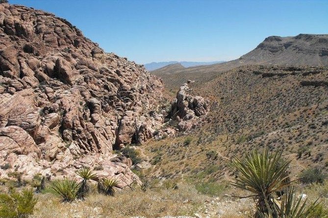 Guided Mountain Bike Tour of Mustang Trail in Red Rock Canyon - The Trail and Scenery