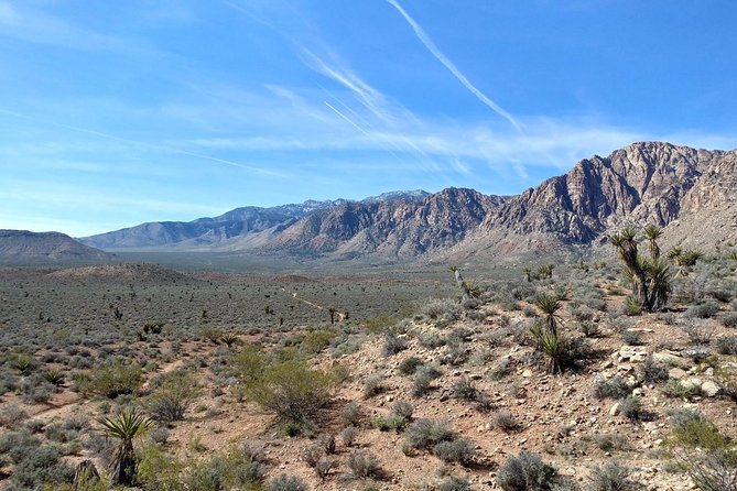 Guided Mountain Bike Tour of Mustang Trail in Red Rock Canyon - Value for Money