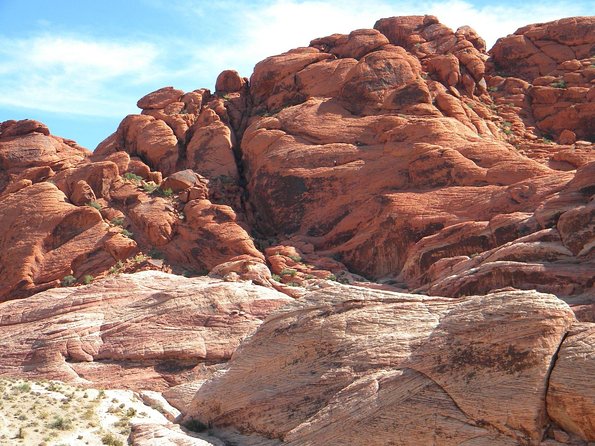 Guided Mountain Bike Tour of Mustang Trail in Red Rock Canyon - Who Should Book This Tour?