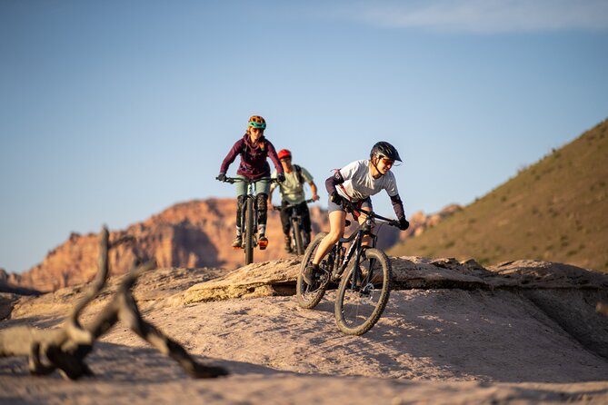 Guided Mountain Bike Tours - Zion - Exploring Zion’s Trails on a Guided Mountain Bike Tour