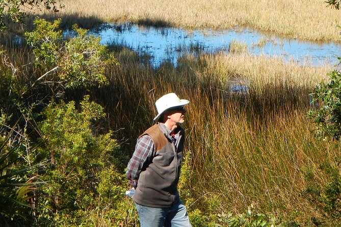 Guided Nature Hikes in NE Florida & SE Georgia - An In-Depth Look at the Guided Nature Hikes Experience